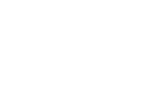 Vision OH CAMA + Tax - Vision Government Solutions